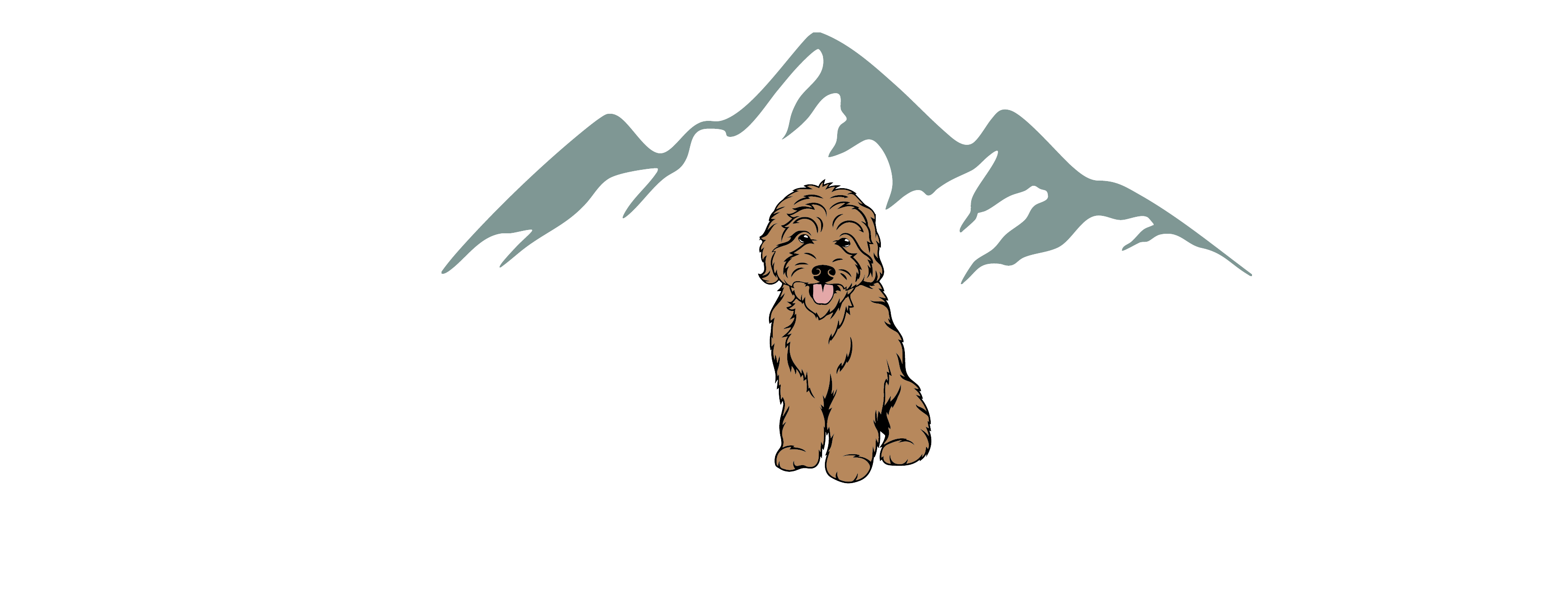Micro Bernedoodle Puppies For Sale - Mountain Meadow Puppies